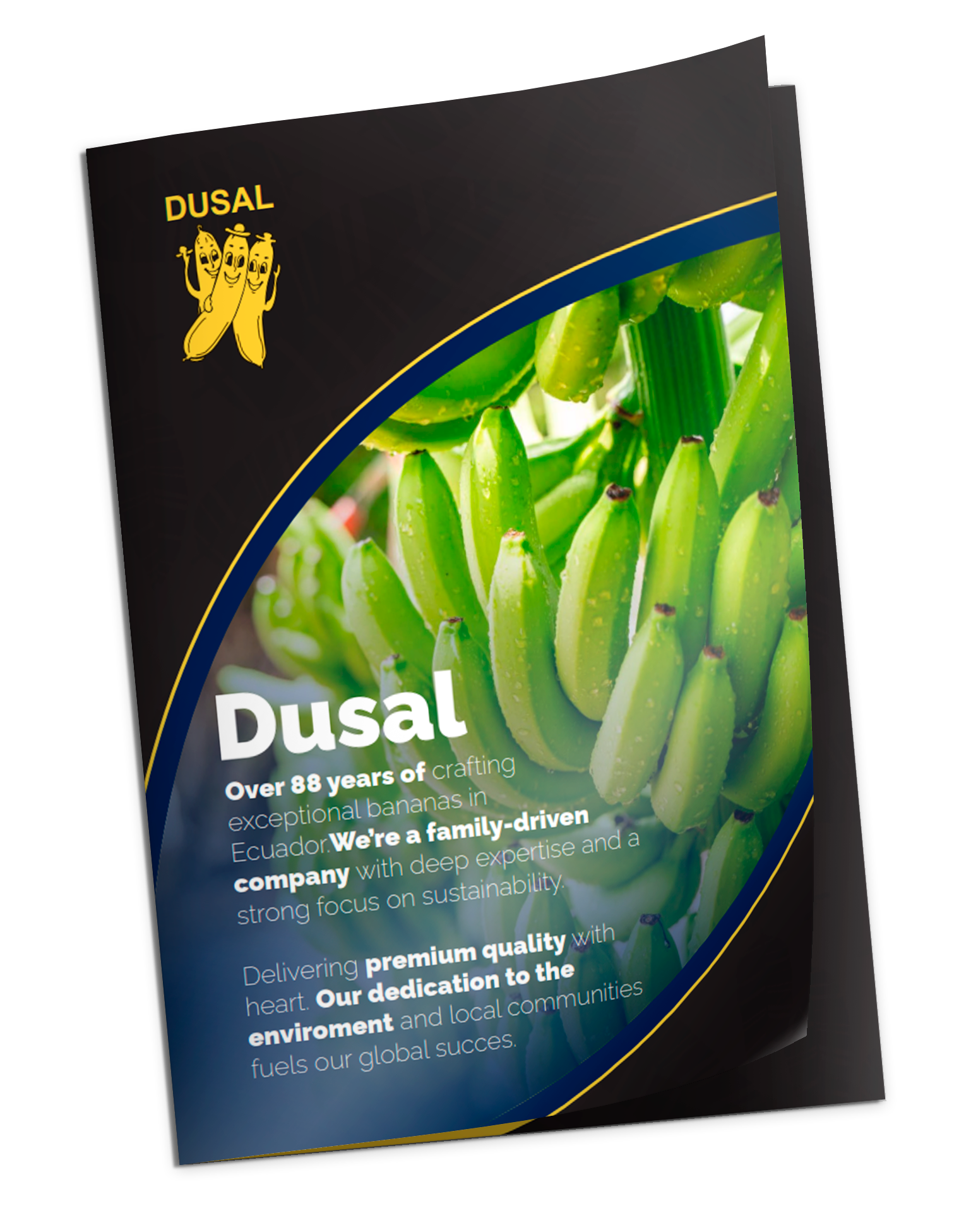 Brochure – DUSAL